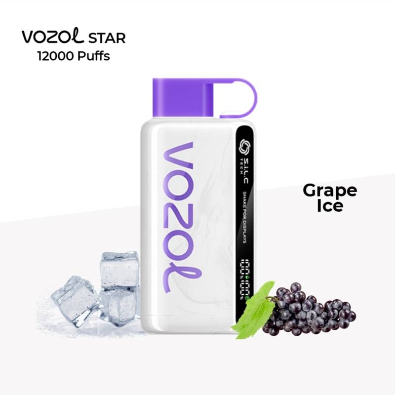 Grape Ice By VOZOL STAR 12000 Puffs Disposable Pod | Si Omar Vape Store