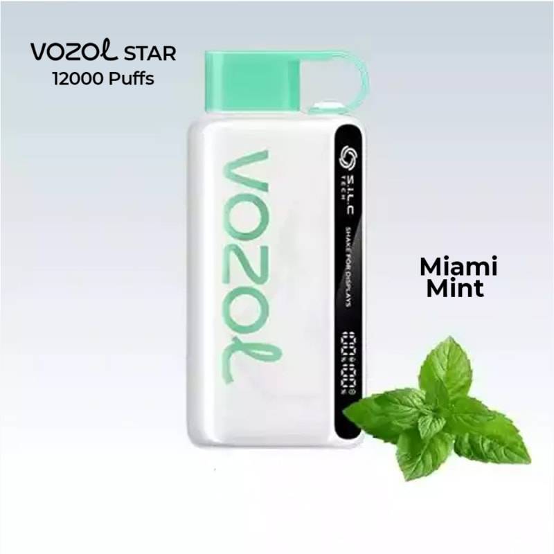 Miami Mint By VOZOL STAR 12000 Puffs Disposable Pod | Si Omar Vape Store